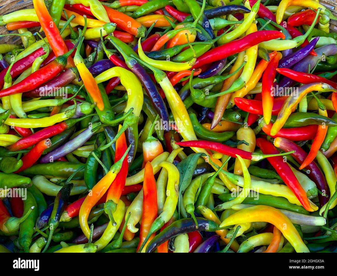Curly red chili hi-res stock photography and images - Alamy
