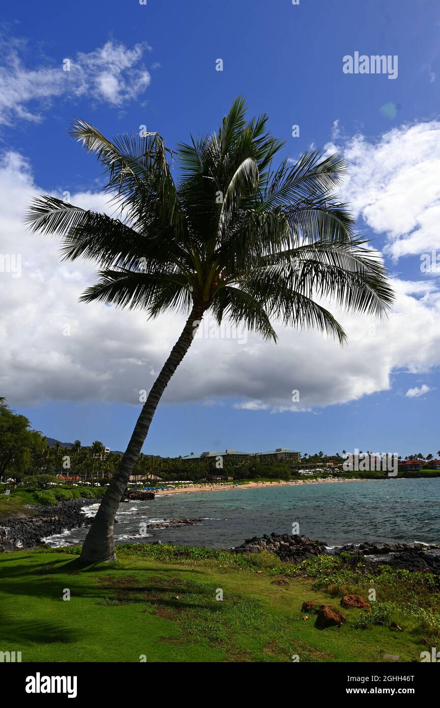 MAUI, HAWAII, USA...BEACH WALKWAY IN WAILEA Stock Photo - Alamy