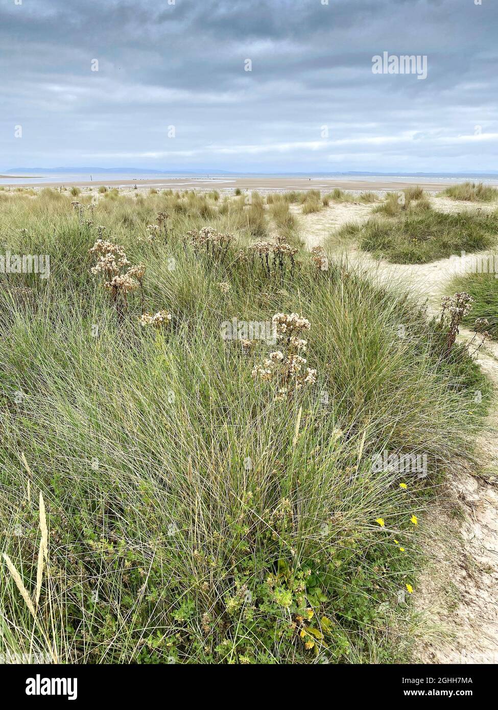 Findhorn harbour hi-res stock photography and images - Alamy