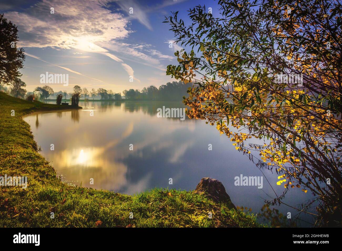 Beautiful view of a lake surrounded by trees with the reflection of the ...