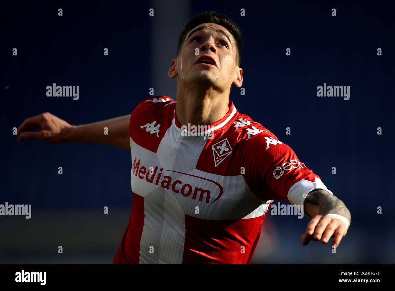 Lucas martinez quarta of acf fiorentina hi-res stock photography and ...