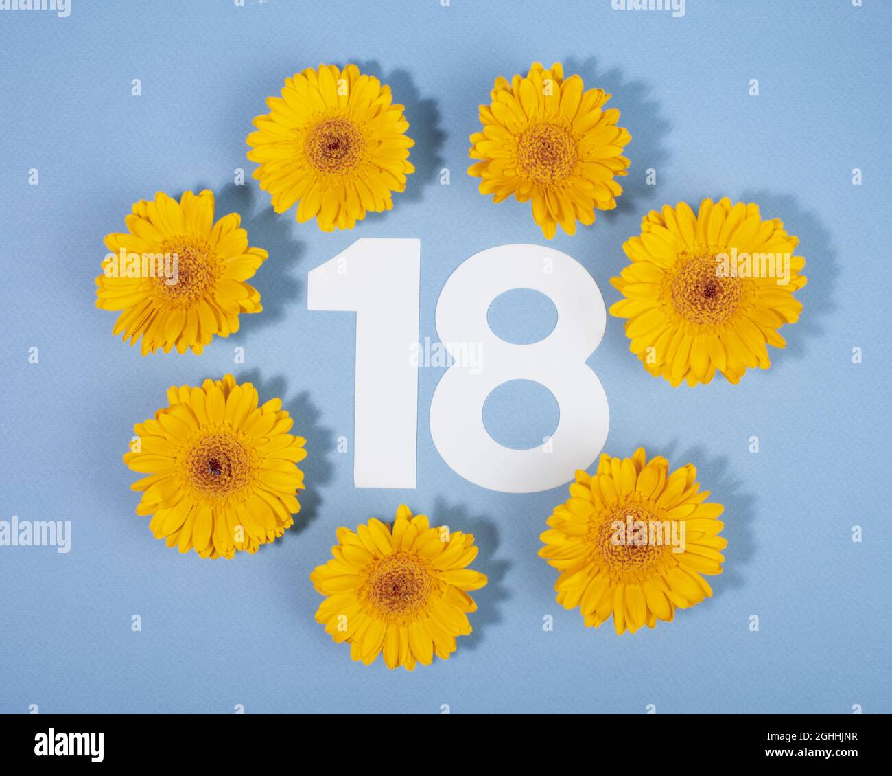Number 18 surrounded with yellow gerbera flowers on blue background ...