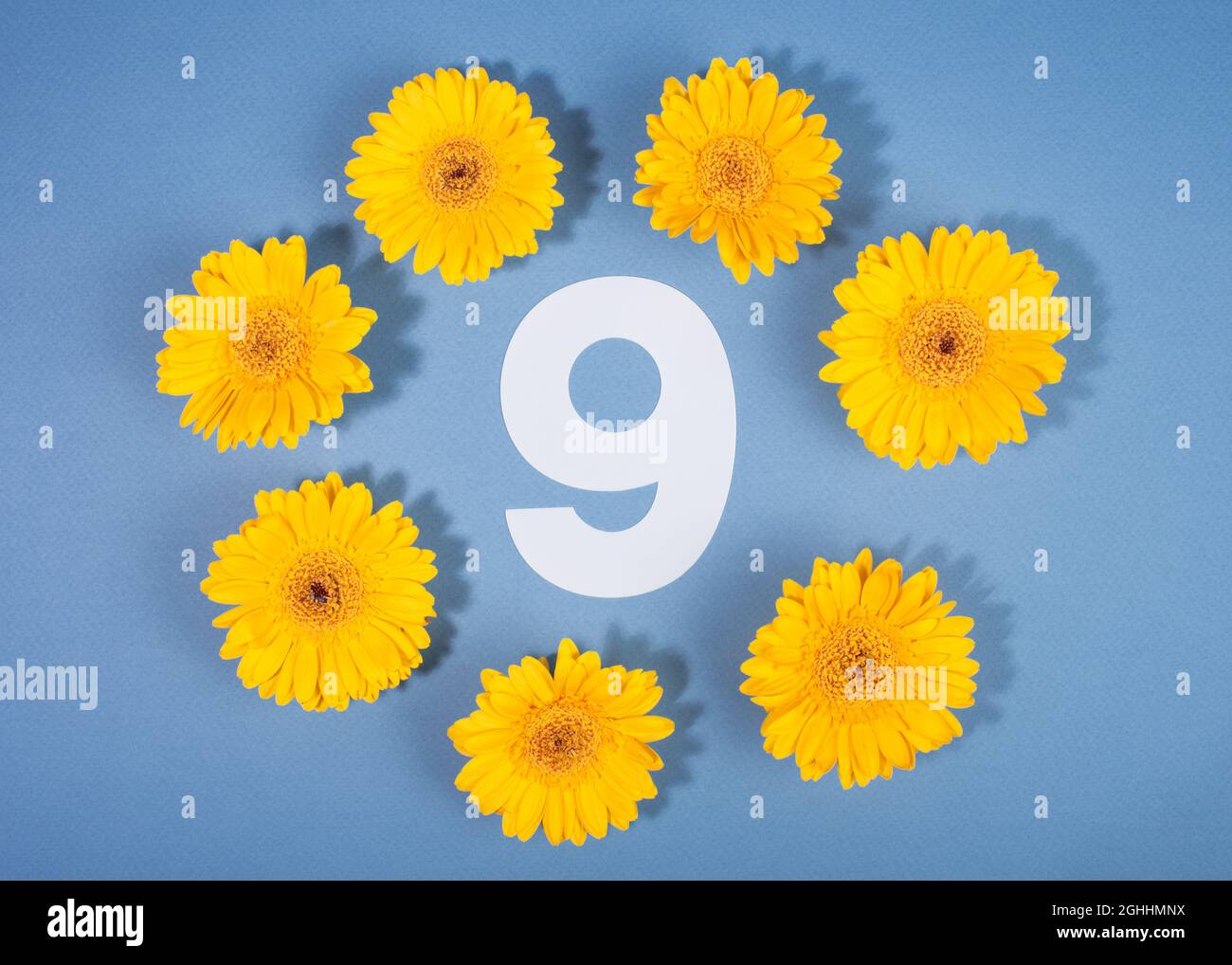 Yellow nine flower hi-res stock photography and images - Alamy