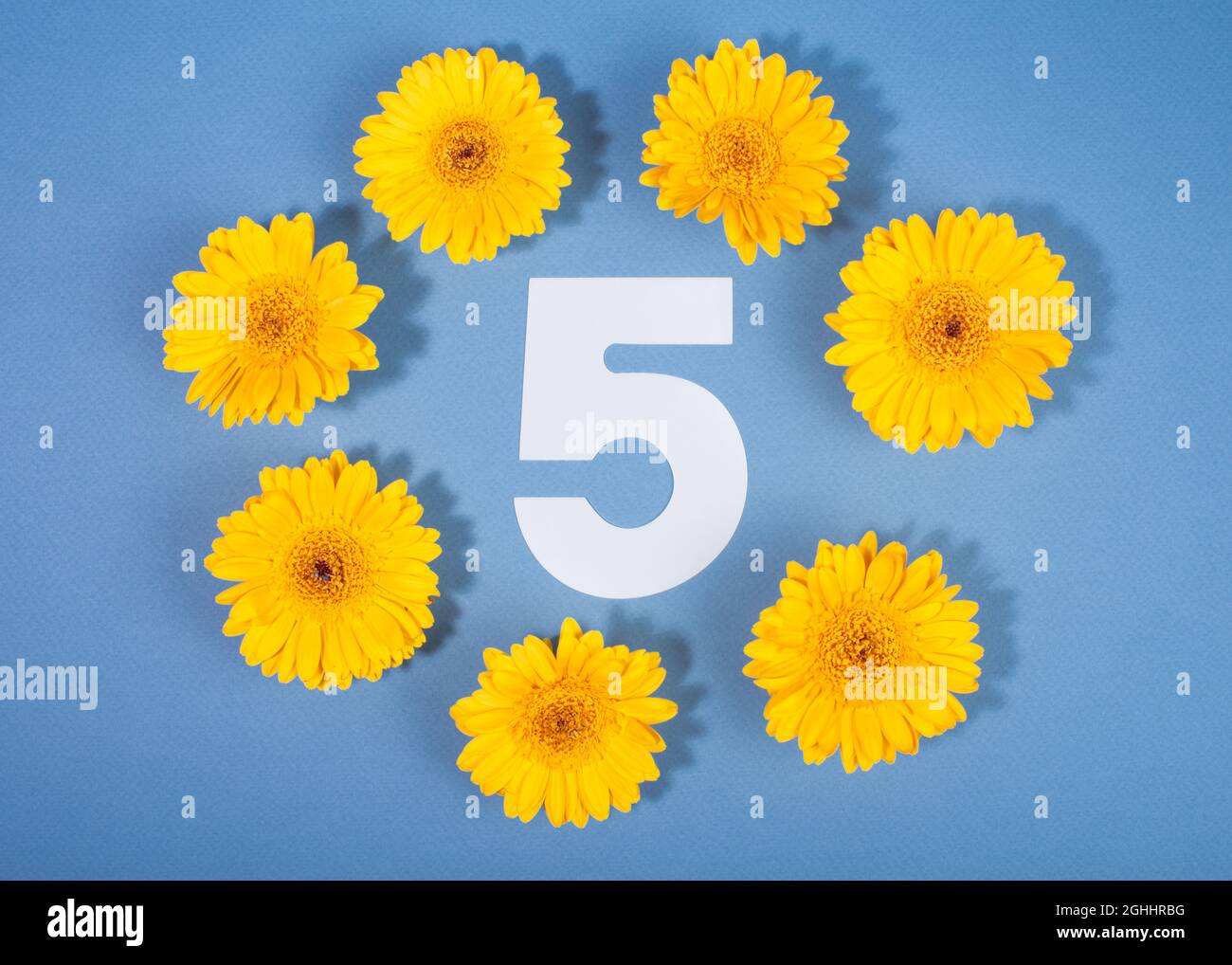 Number 5 surrounded with yellow gerbera flowers on blue background ...