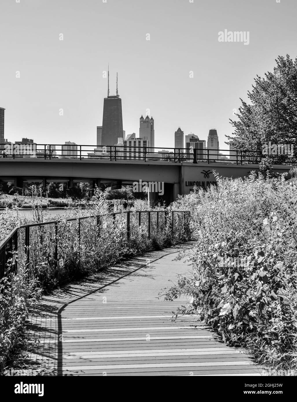 city park pathway trail with Chicago skyline Stock Photo - Alamy