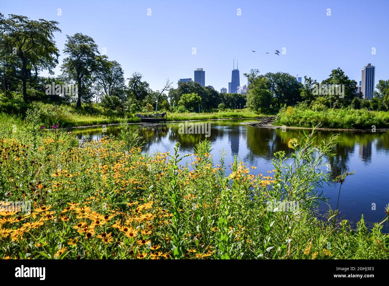 Big city Chicago city skyline along the water Stock Photo - Alamy
