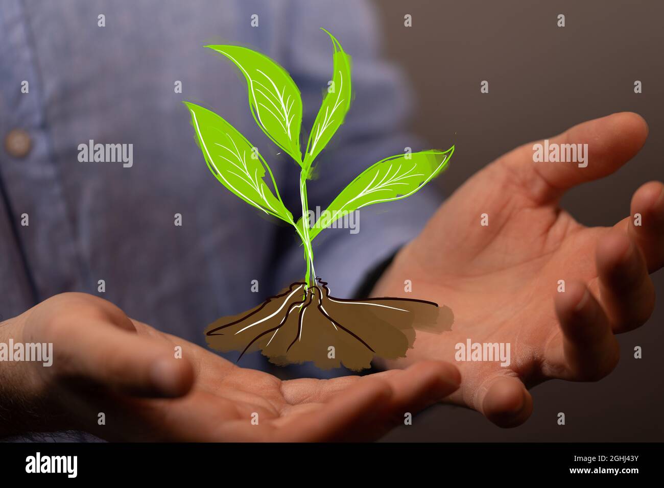 Illustration of a growing small plant hovering over man's palms ...