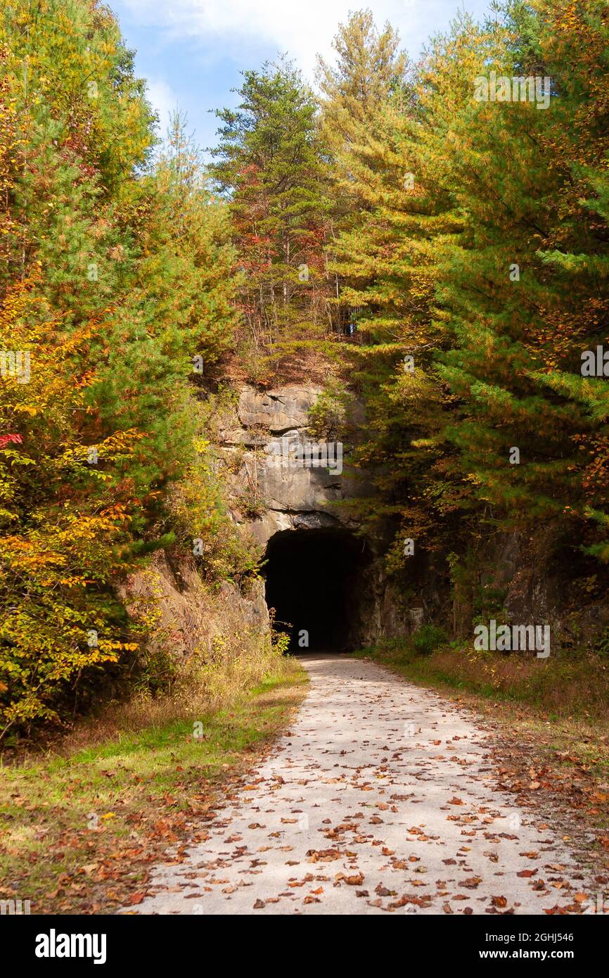 A former railroad tunnel on a trail in the woods Stock Photo - Alamy