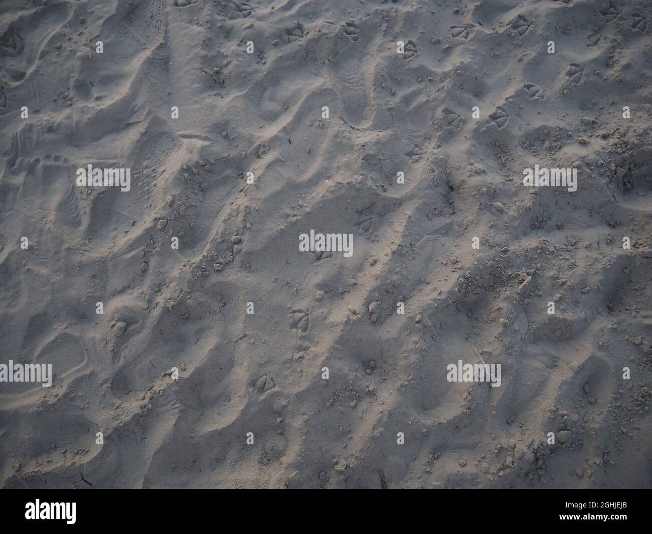 Jersey Shore Sand Stock Photo - Alamy