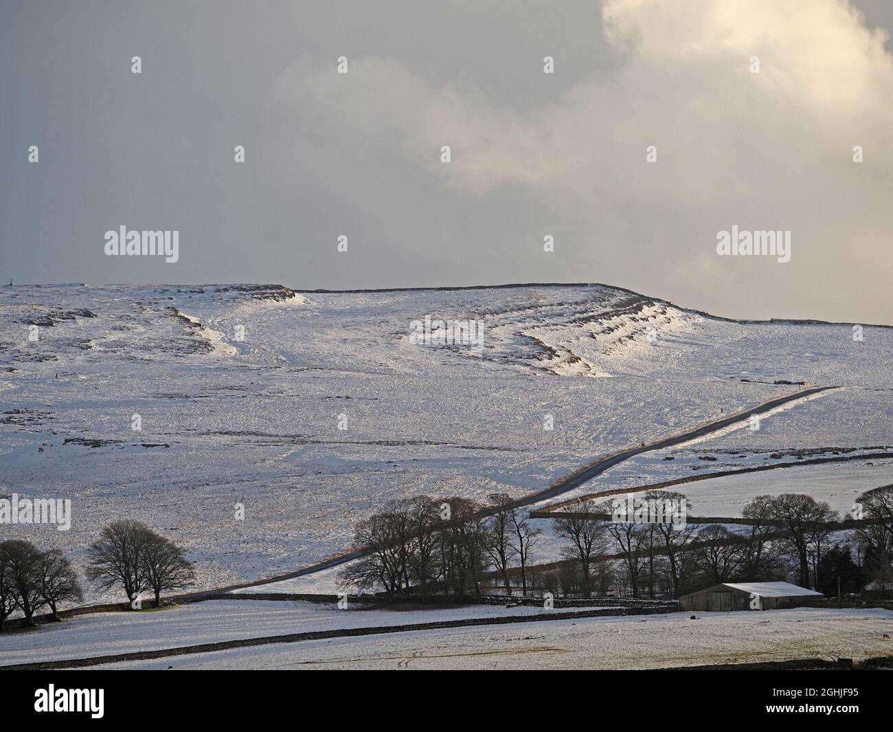 Winter landscape with farm in trees in snowy fields lined with walls ...