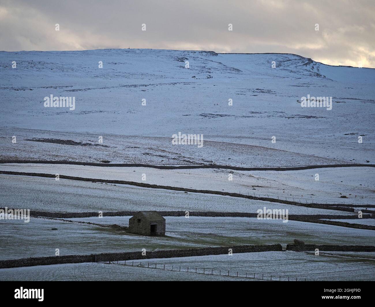 Winter landscape with barn in snowy fields lined with fences & walls ...