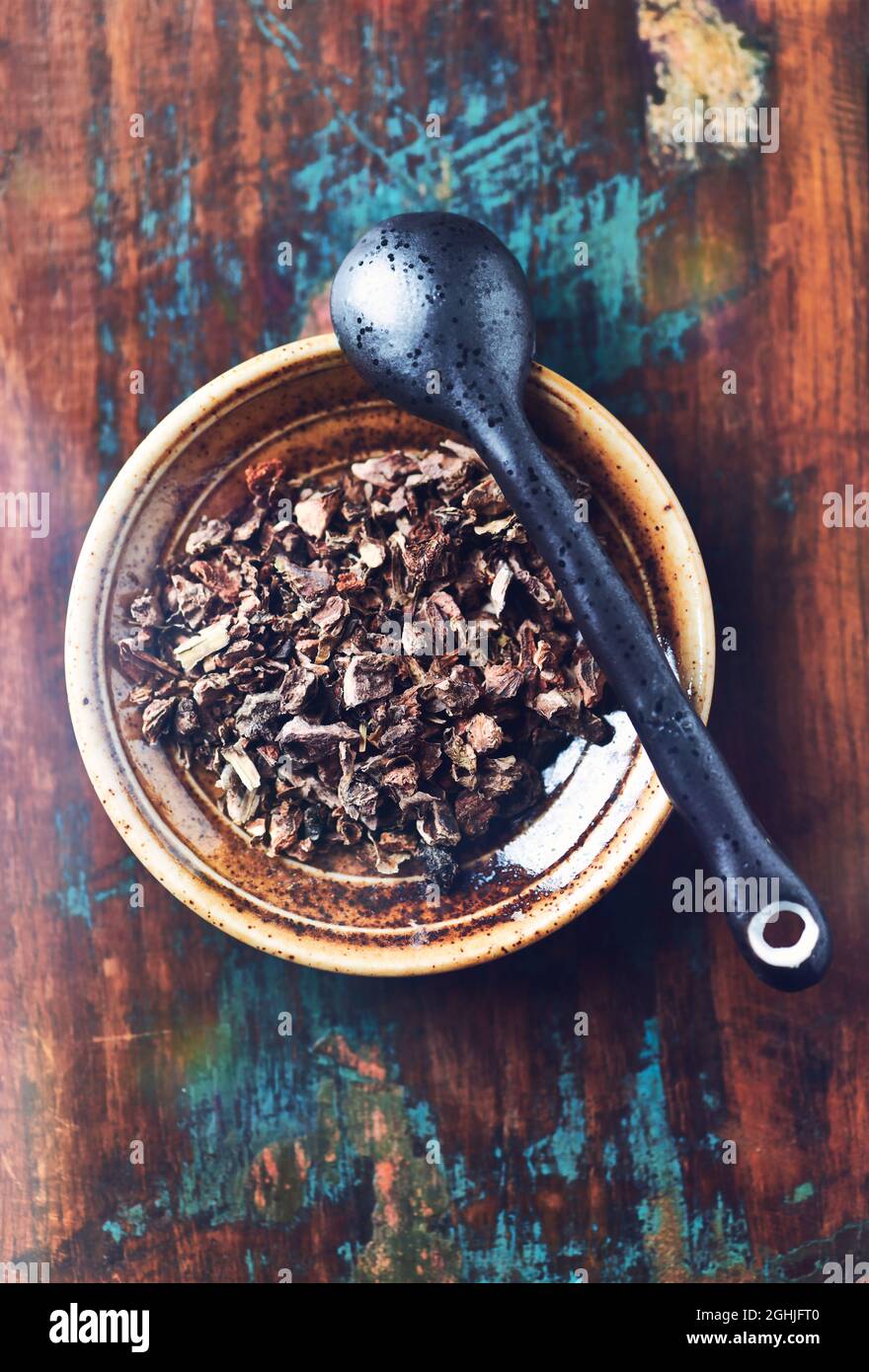 Dry root of Rhodiola rosea. Golden root, rose root. Healthy medical ...