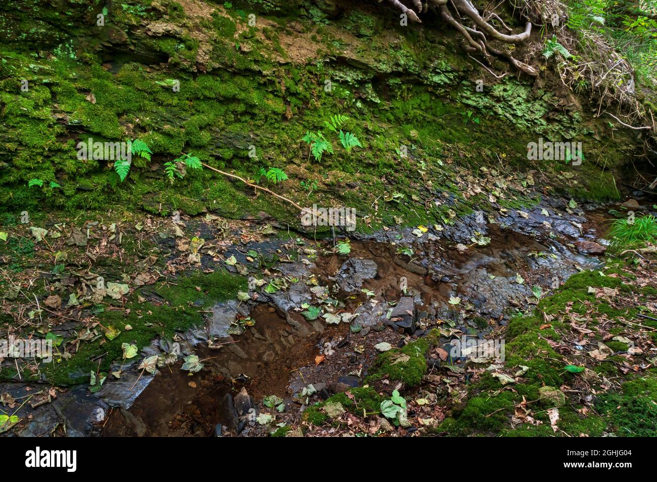 Shale and mudstone hi-res stock photography and images - Alamy