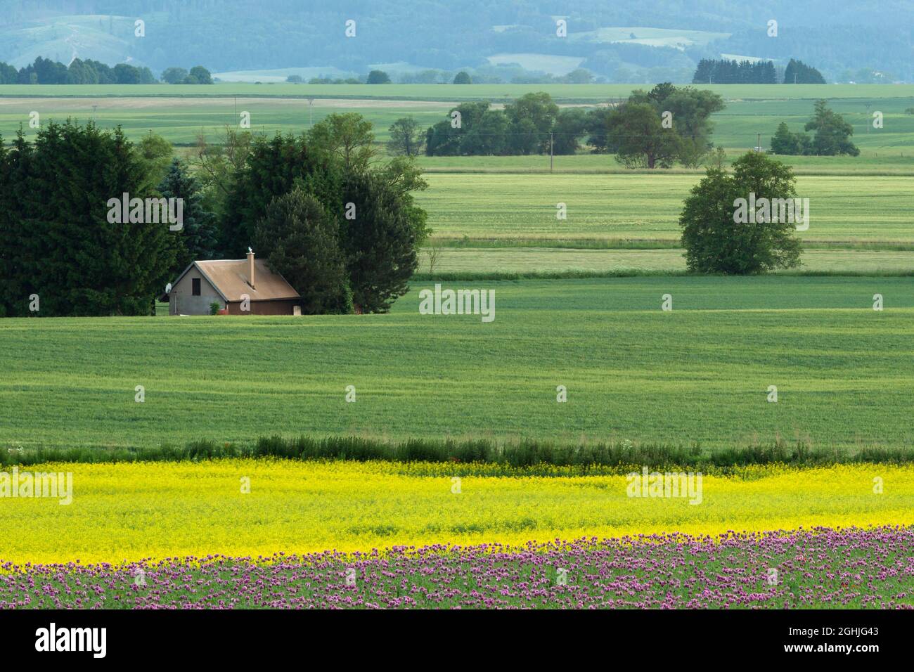 Summer rural landscape of Turiec region, Slovakia Stock Photo - Alamy