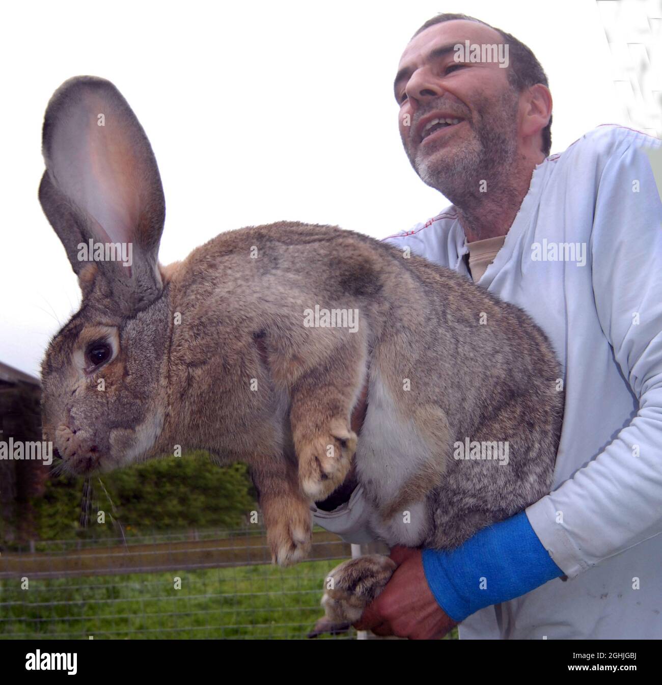 Steve hamilton hi-res stock photography and images - Alamy