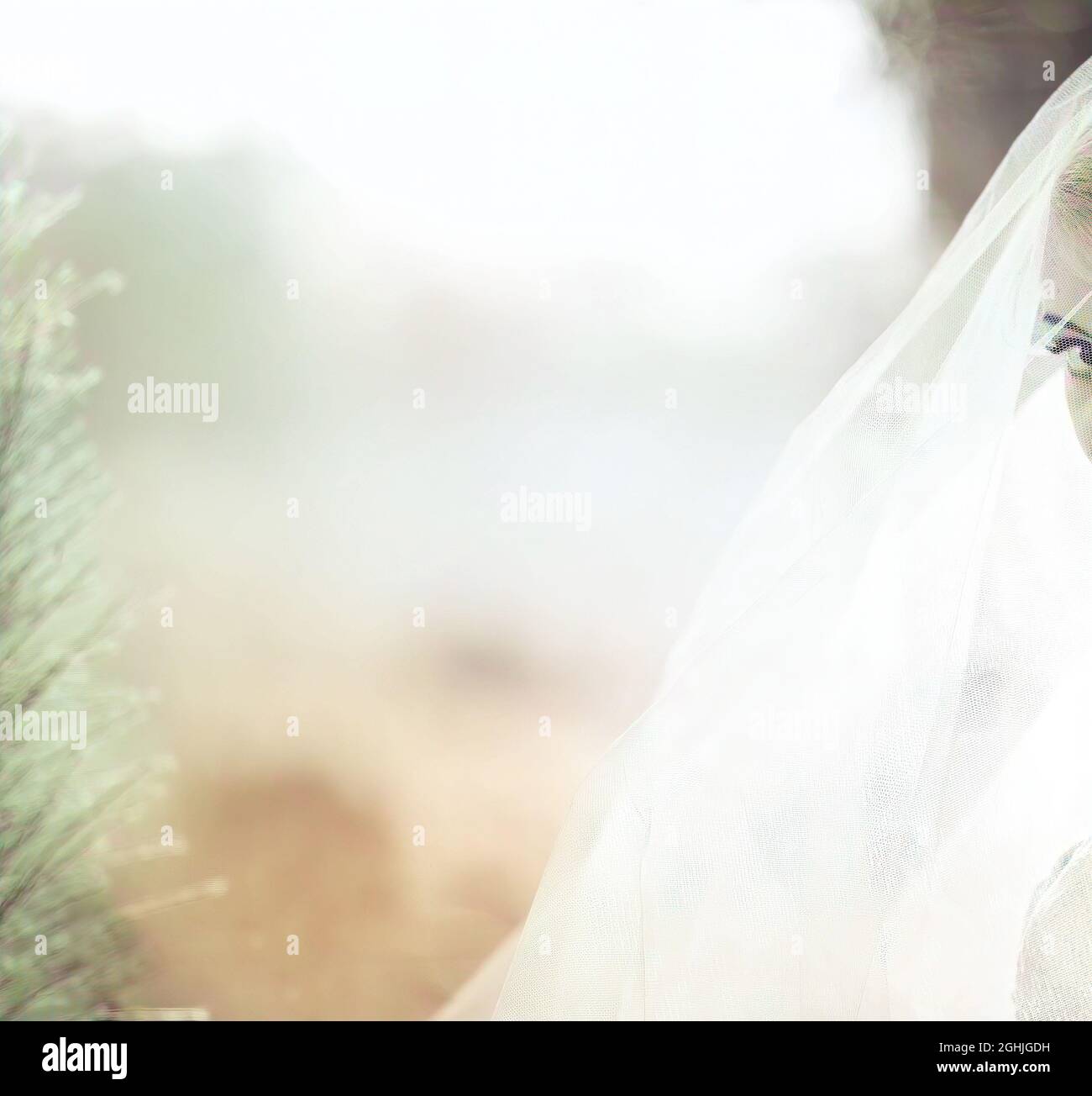 Very soft focus on wedding veil with half of one eye of the bride ...