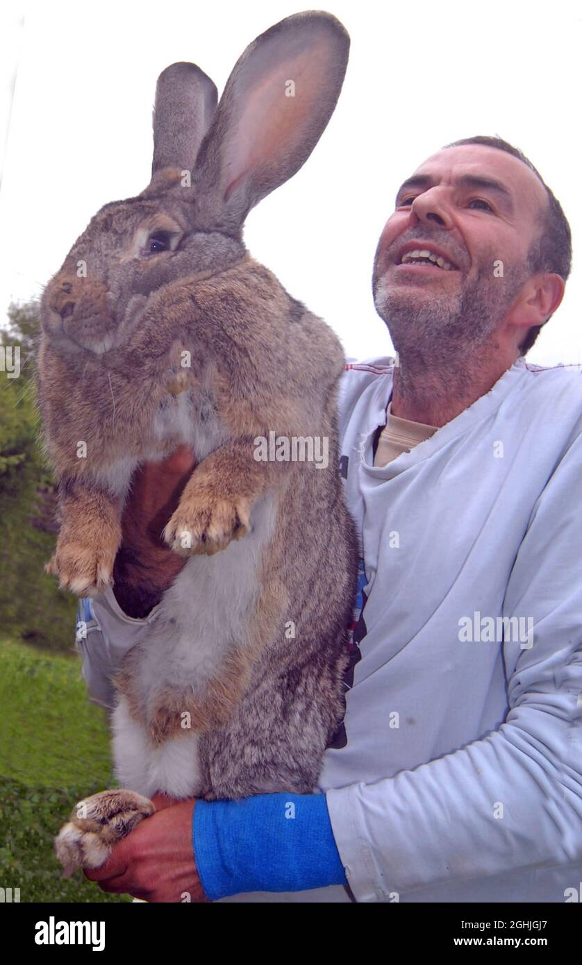 Steve hamilton hi-res stock photography and images - Alamy