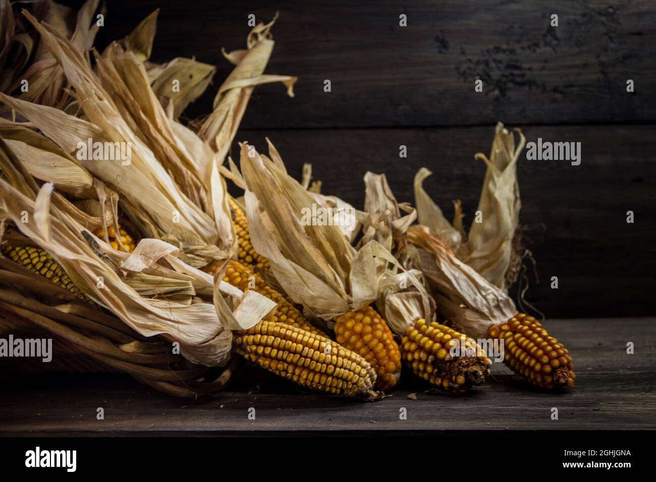 basket spilling corn crop in autumn Stock Photo - Alamy