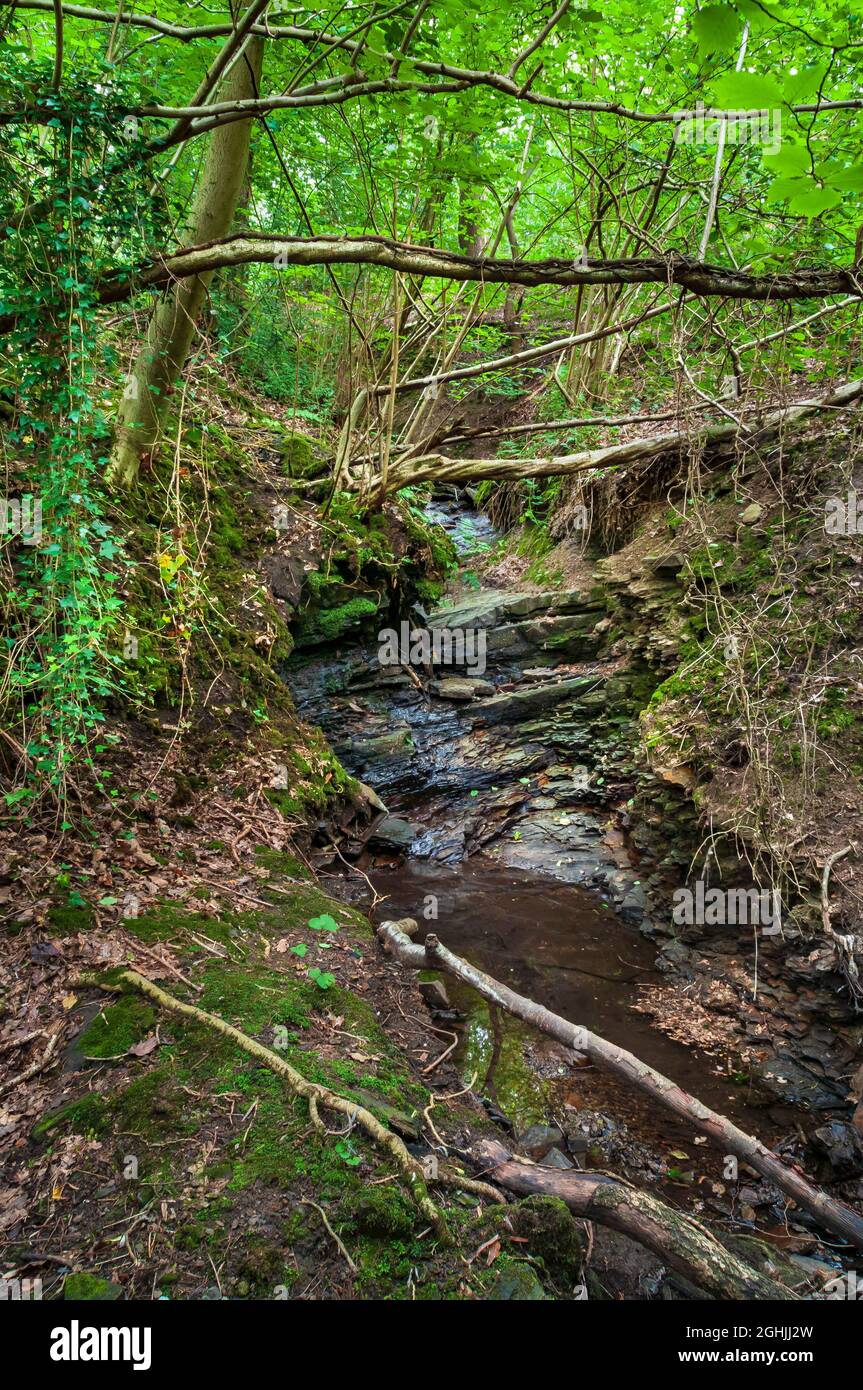 Sandstone and mudstone shale hi-res stock photography and images - Alamy