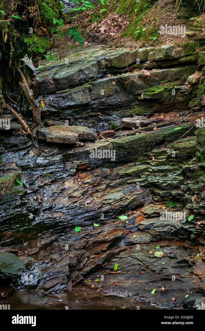 Sandstone and mudstone shale hi-res stock photography and images - Alamy