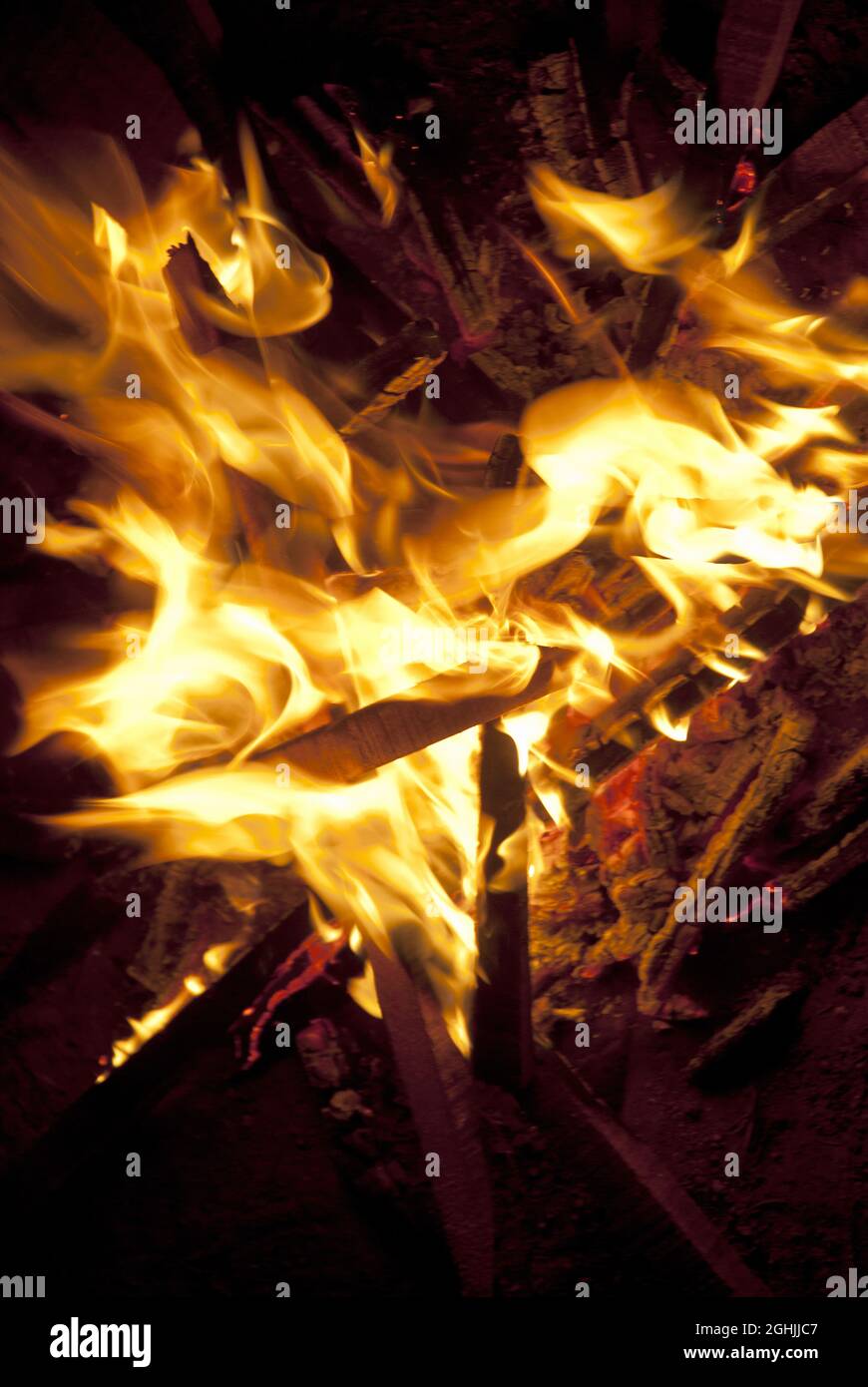 Campfire, fire with branches of dry tree Stock Photo - Alamy