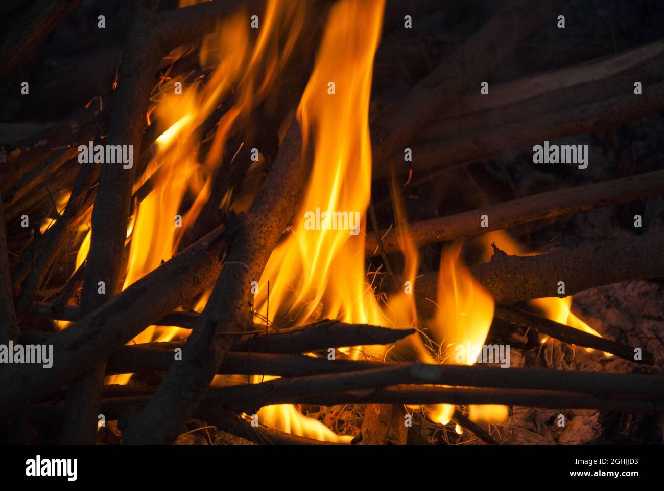 Campfire, fire with branches of dry tree Stock Photo - Alamy