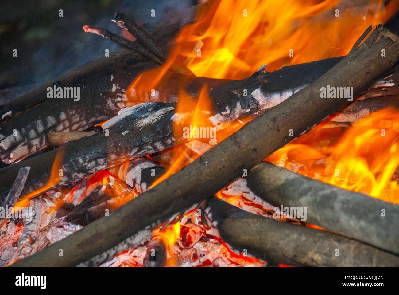 Campfire, fire with branches of dry tree Stock Photo - Alamy