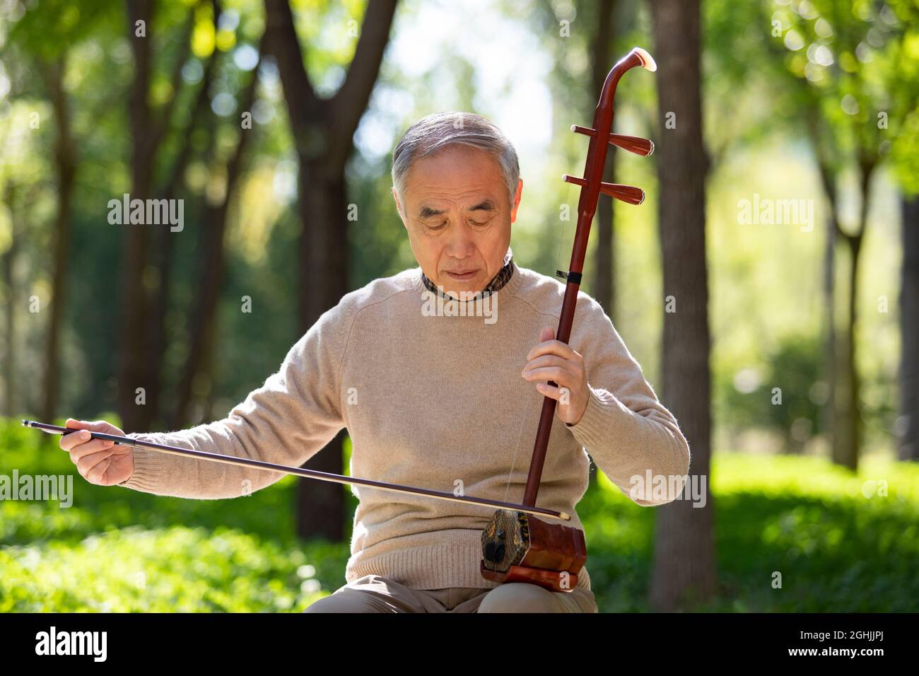 Senior man playing traditional musical instrument Erhu Stock Photo - Alamy