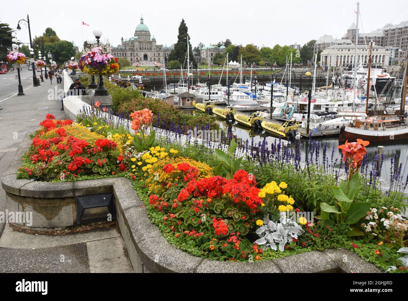 Downtown victoria hi-res stock photography and images - Alamy