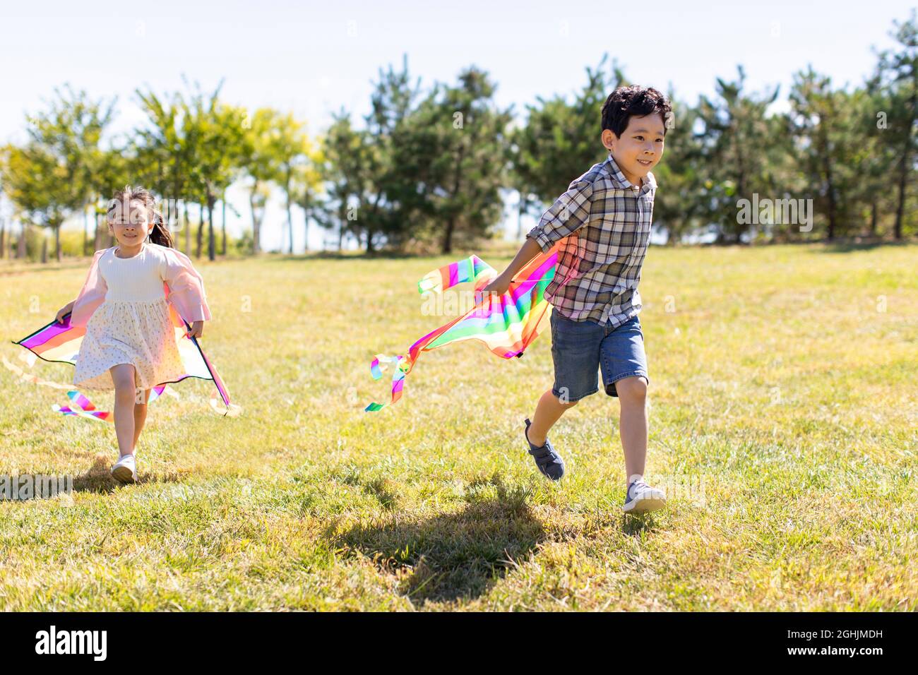 Happy children running with kites on meadow Stock Photo - Alamy