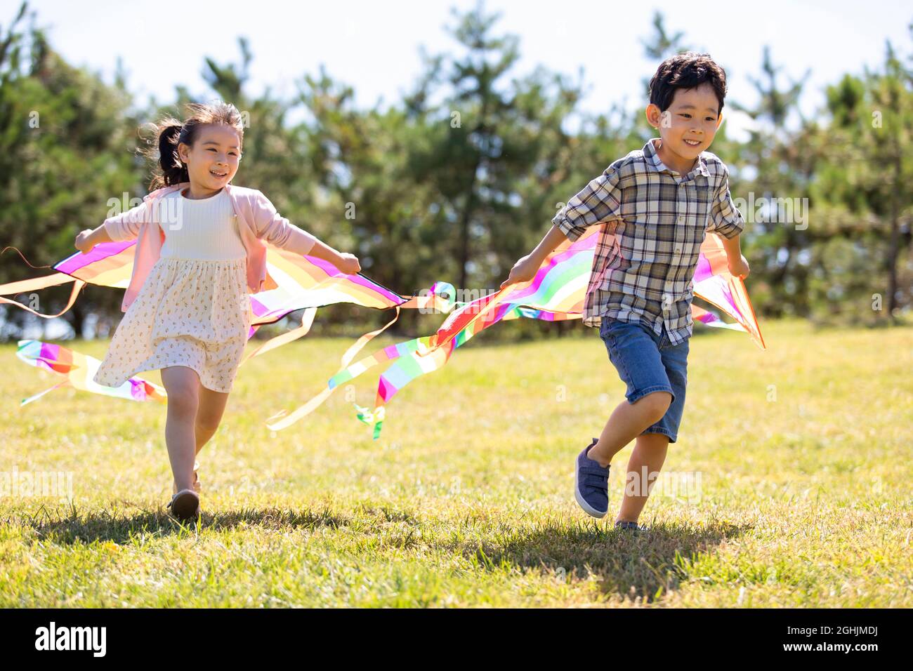 Happy children running with kites on meadow Stock Photo - Alamy