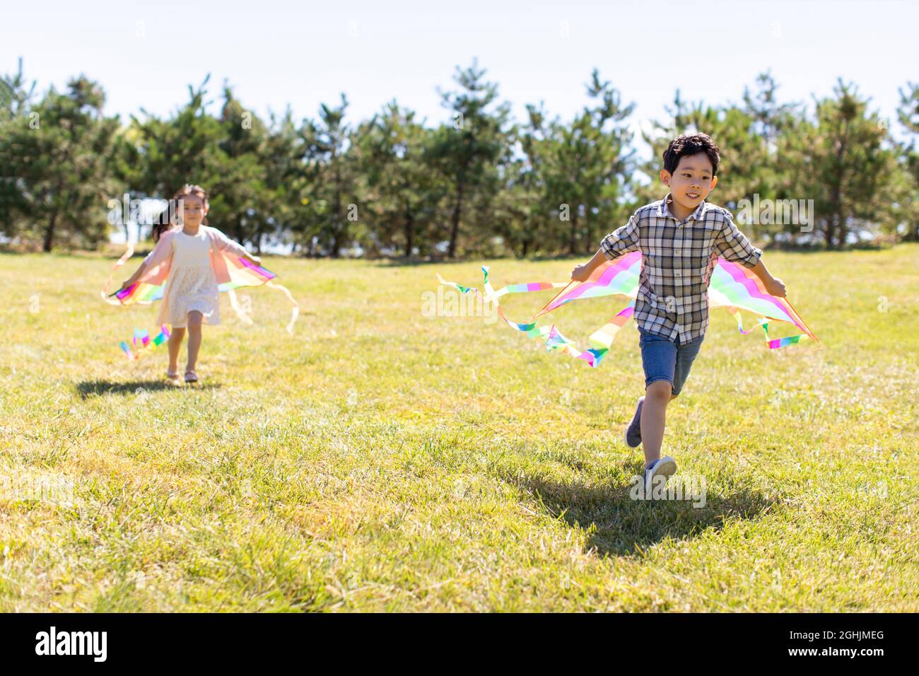 Children flying kites grass hi-res stock photography and images - Alamy