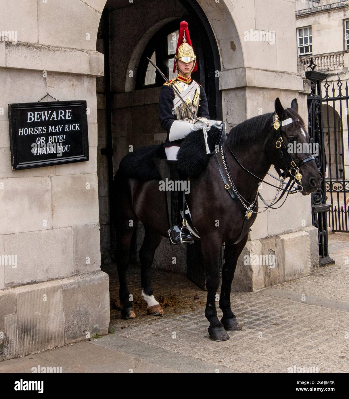 Buckingham Palace Guards On Horses