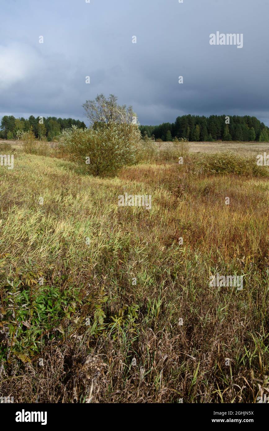 Fall grass field hi-res stock photography and images - Alamy