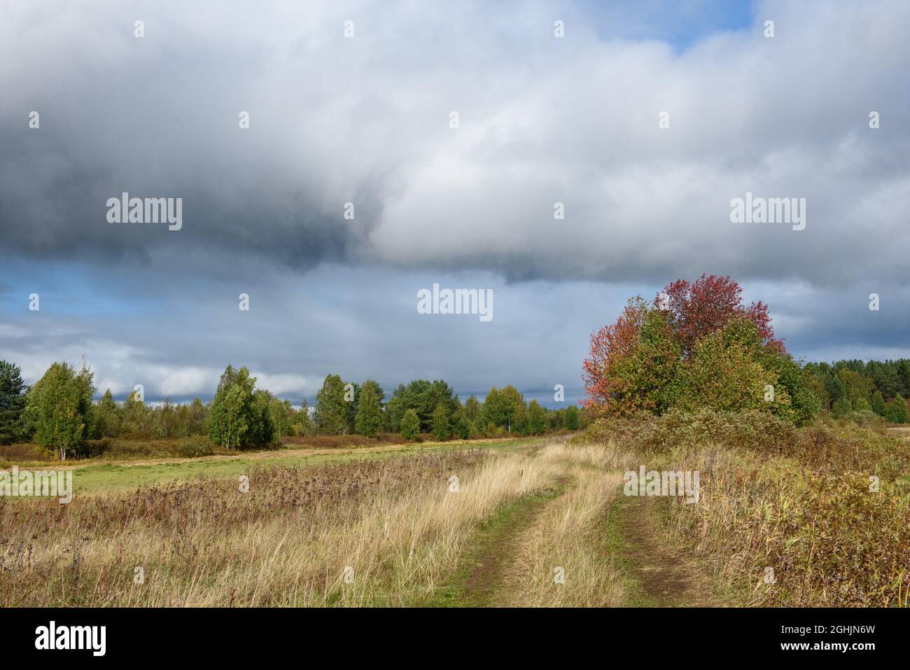 A picturesque landscape. A country road running through fields with ...