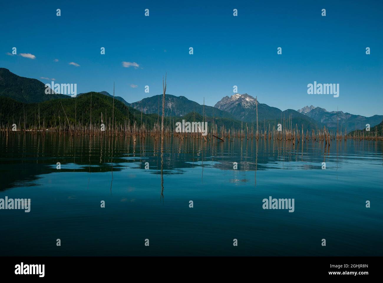 Reflections at Stave Lake in Mission, British Columbia, Canada Stock ...