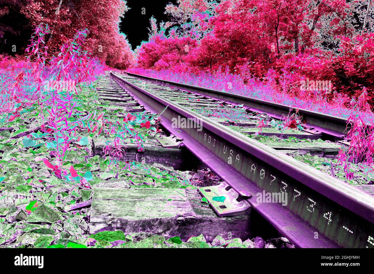 Color solarization hi-res stock photography and images - Alamy