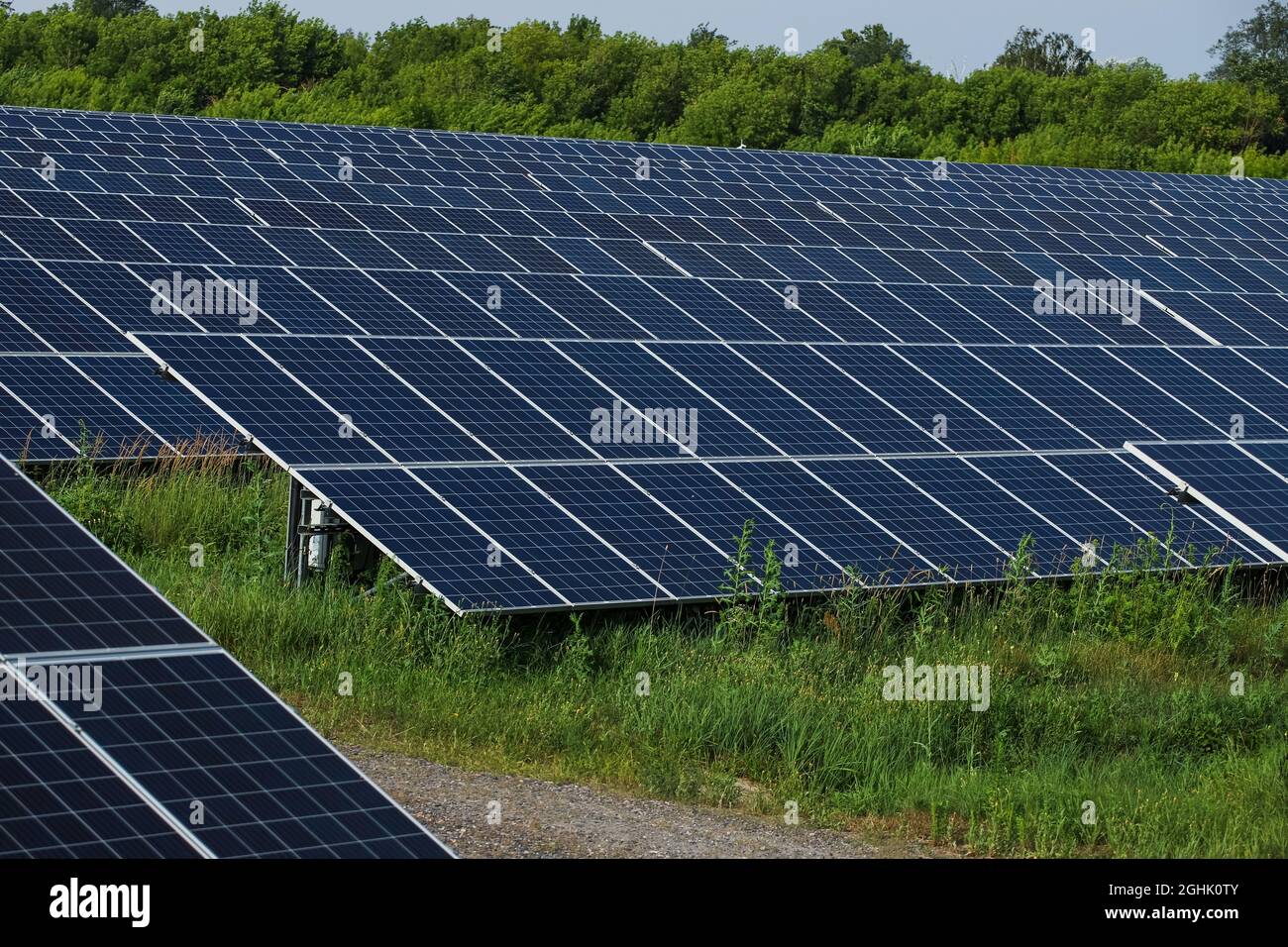 Mobile phone panels with alternative energy and power sustainable hi ...