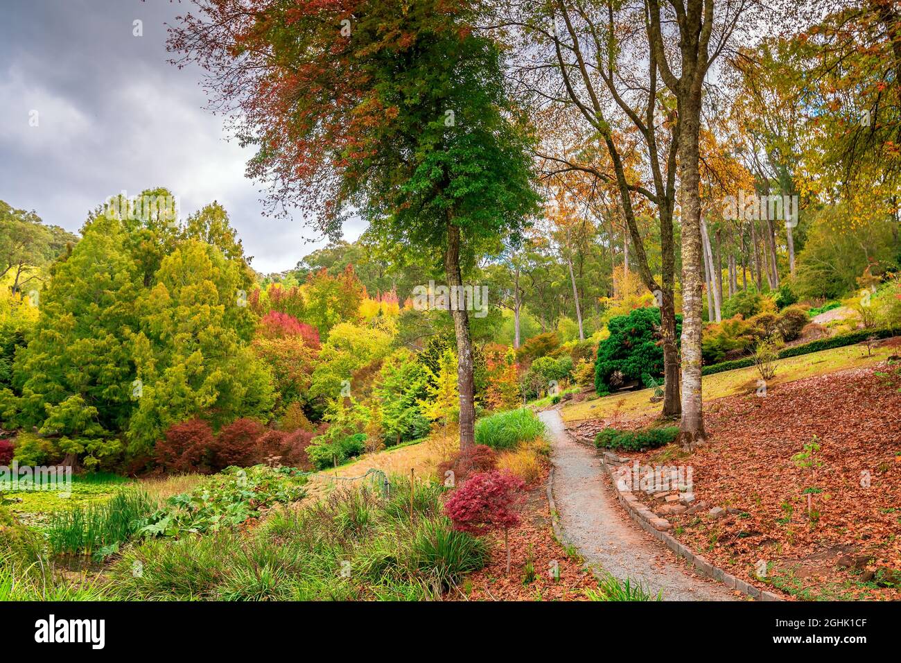 Colourful and peaceful autumn scene in the park with a pathway between ...
