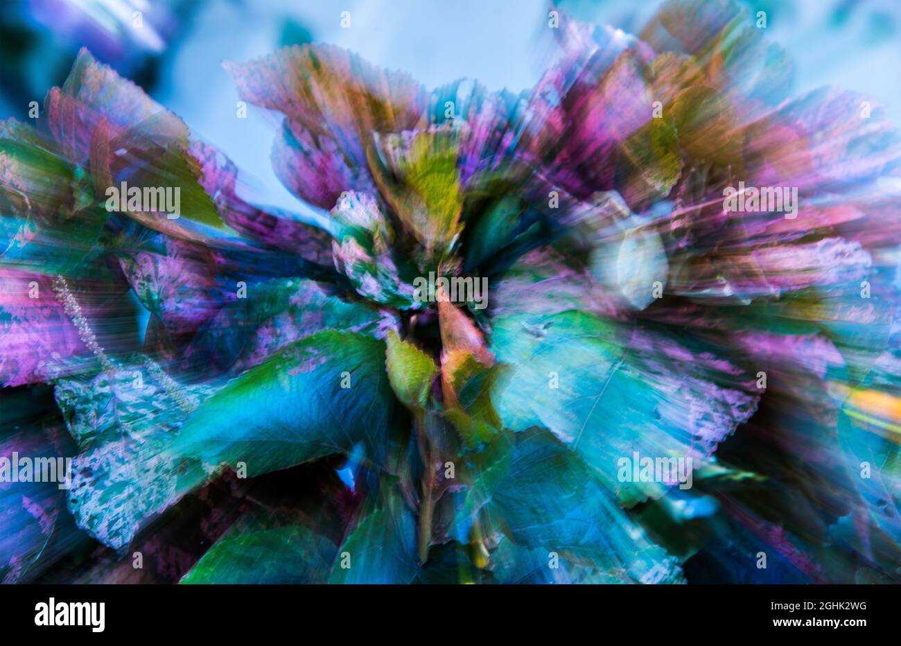 abstract background for frame, decoration Stock Photo - Alamy