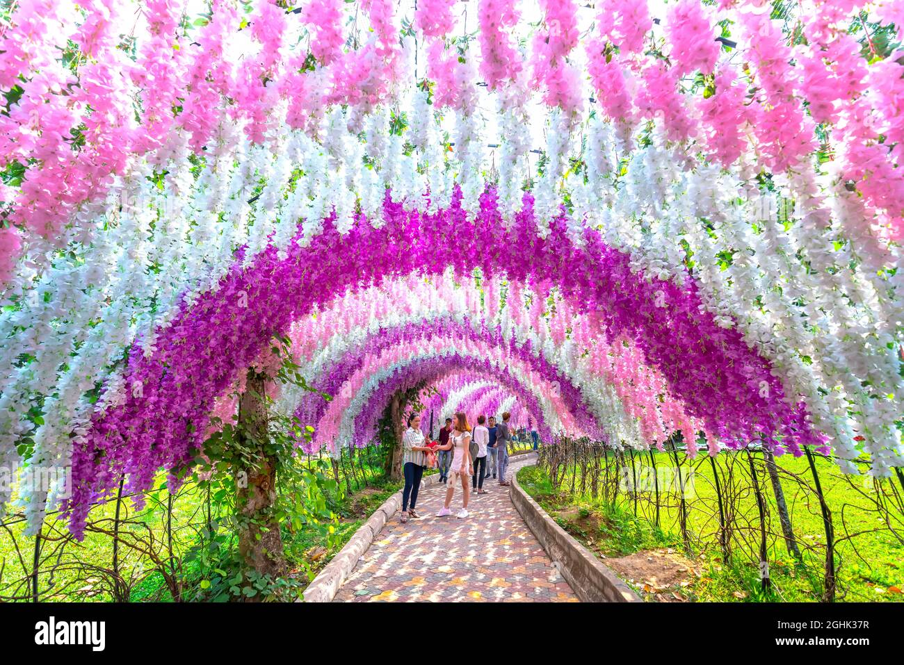 Purple surrounds hi-res stock photography and images - Alamy