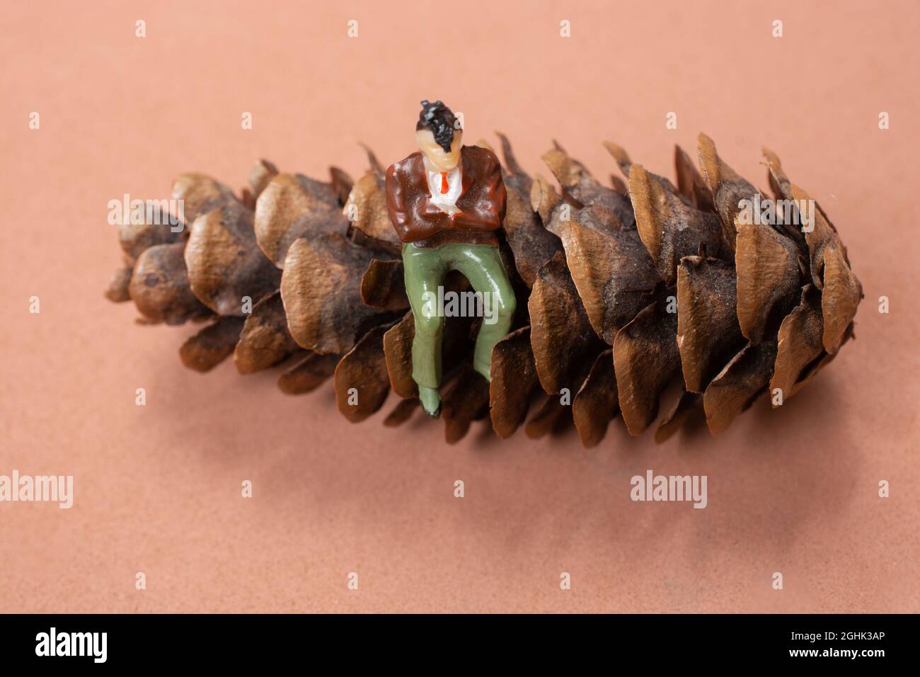 Closeup of a miniature plastic man sitting on a pine cone Stock Photo ...
