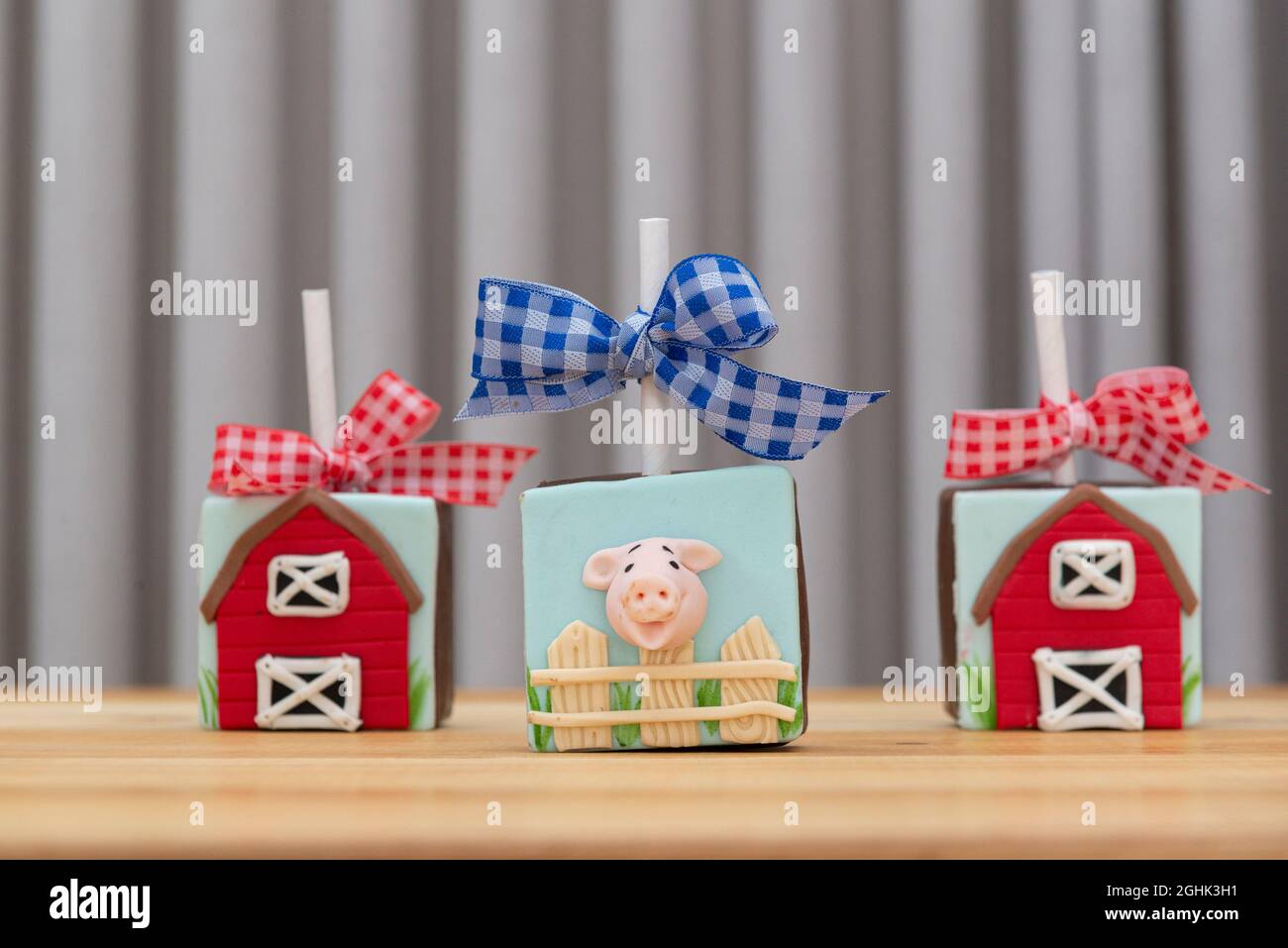 square chocolate lollipop decorated in farm theme. Candy decorated with ...