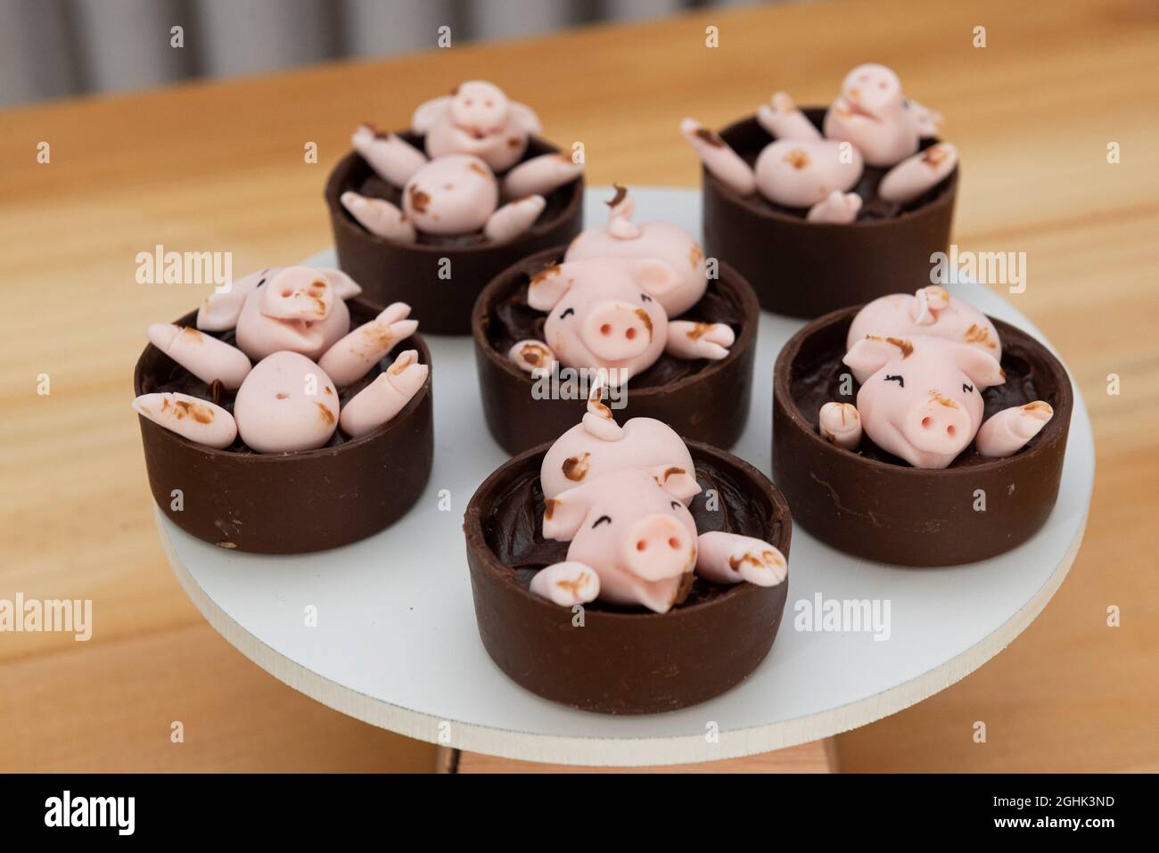 White tray with decorated candies, happy cute pink pigs playing in the ...