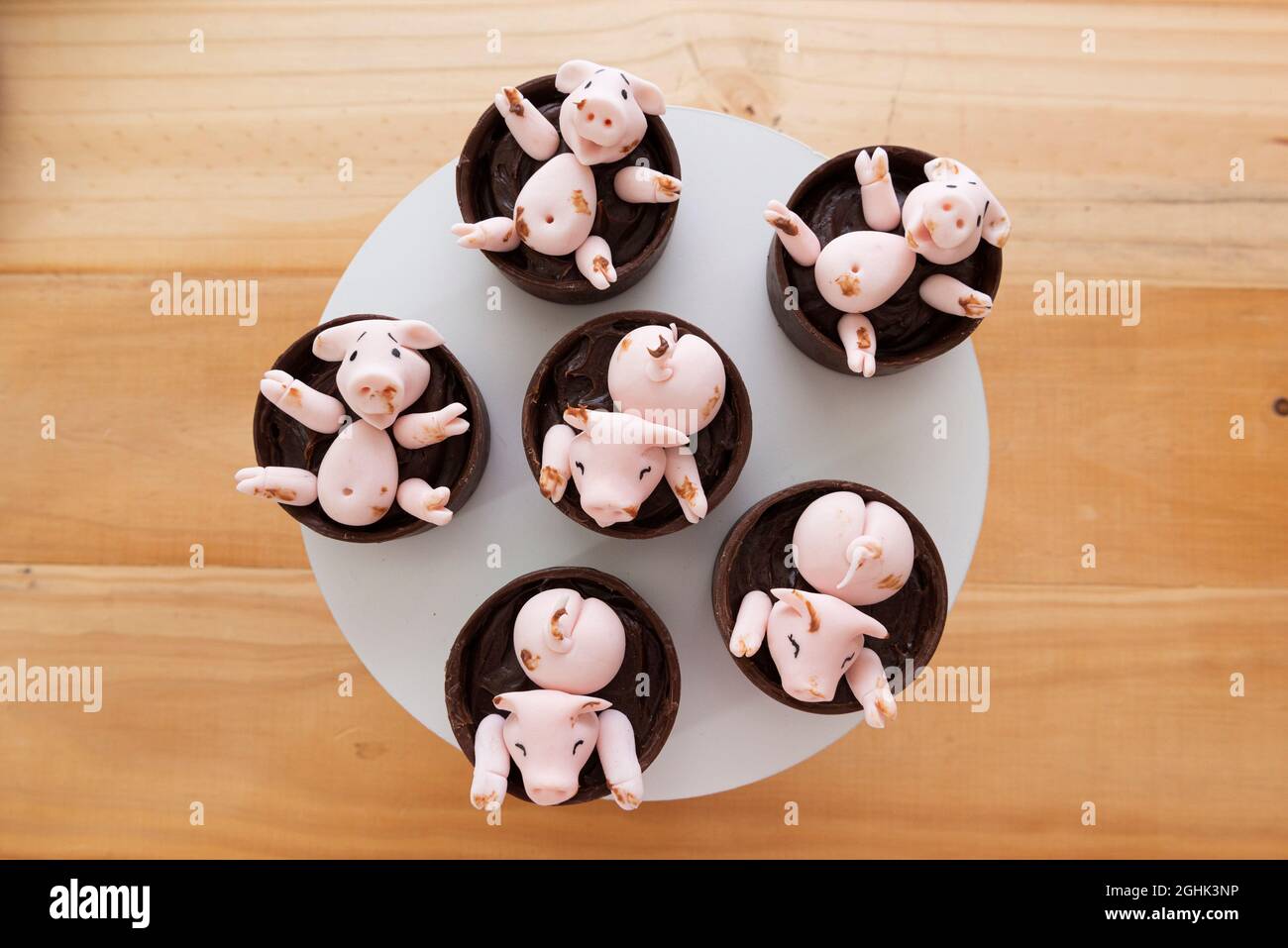 White tray with decorated candies, happy cute pink pigs playing in the ...