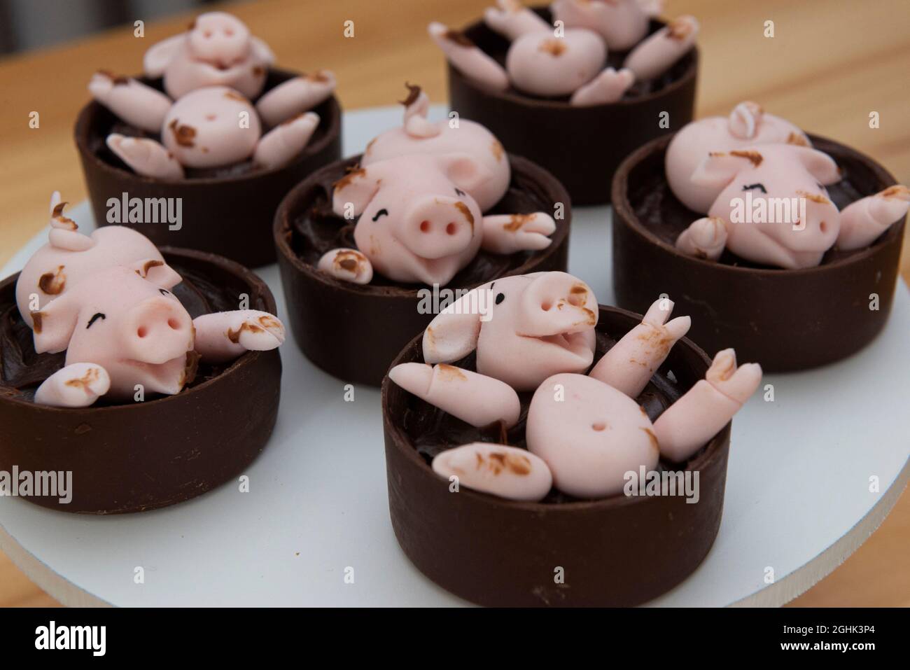White tray with decorated candies, happy cute pink pigs playing in the ...