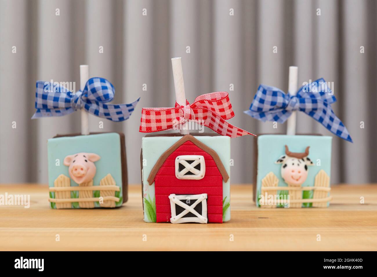 square chocolate lollipop decorated in farm theme. Candy decorated with ...