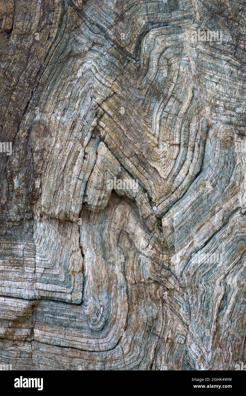 Upright chevron folds in Mesozoic ribbon chert, Oregon, USA Stock Photo ...