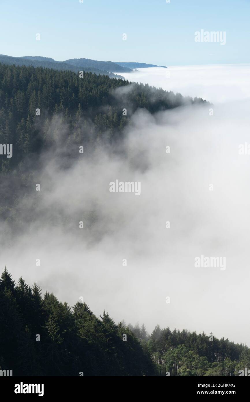 Coastal fog build-up along the edge of the Oregon Coast Range, USA ...