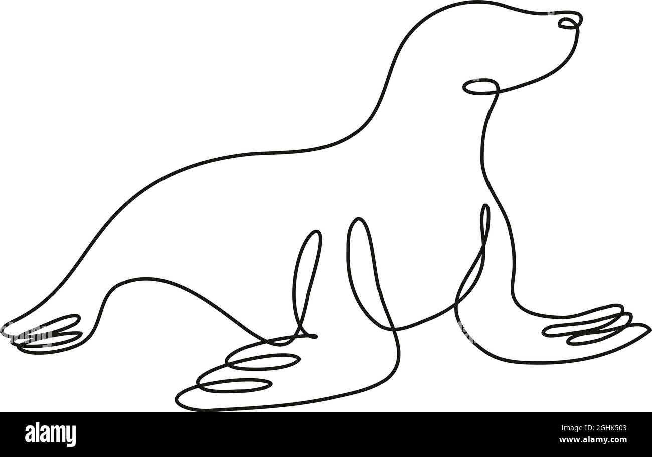 Seal Outline Drawing